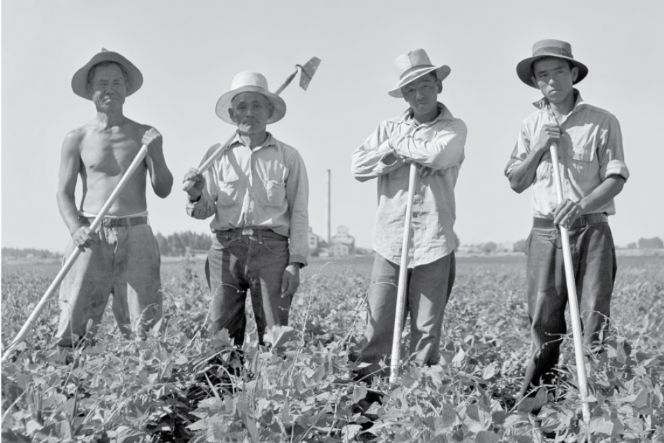 JANM EXHIBITION TO SHOWCASE PHOTOGRAPHS FROM WWII FARM LABOR CAMPS ...